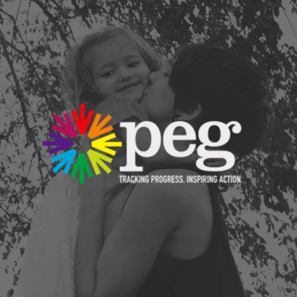 Tactica Interactive | PEG: Big Data Visualization for Communities