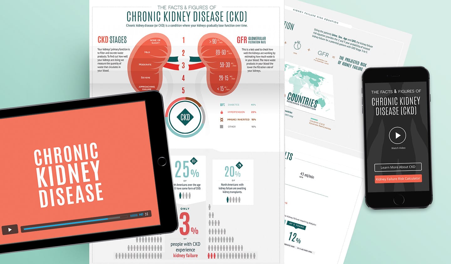 Tactica Interactive Kidney Risk Equation App Infographic And Video