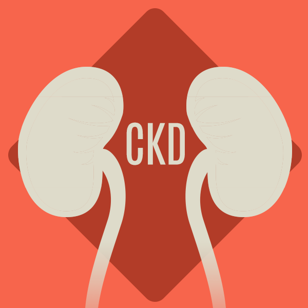 Tactica Interactive | Kidney Risk Equation App, Infographic and Video